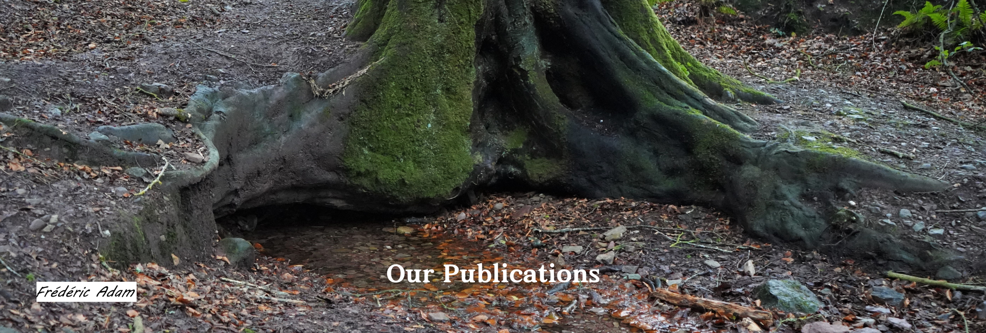 Publications and Outputs from the Centre for Co-operative Studies ...