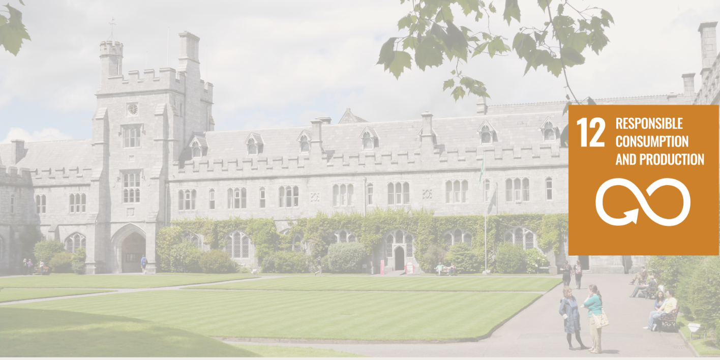 Sustainable Development Goal 12 - Responsible Consumption and ...